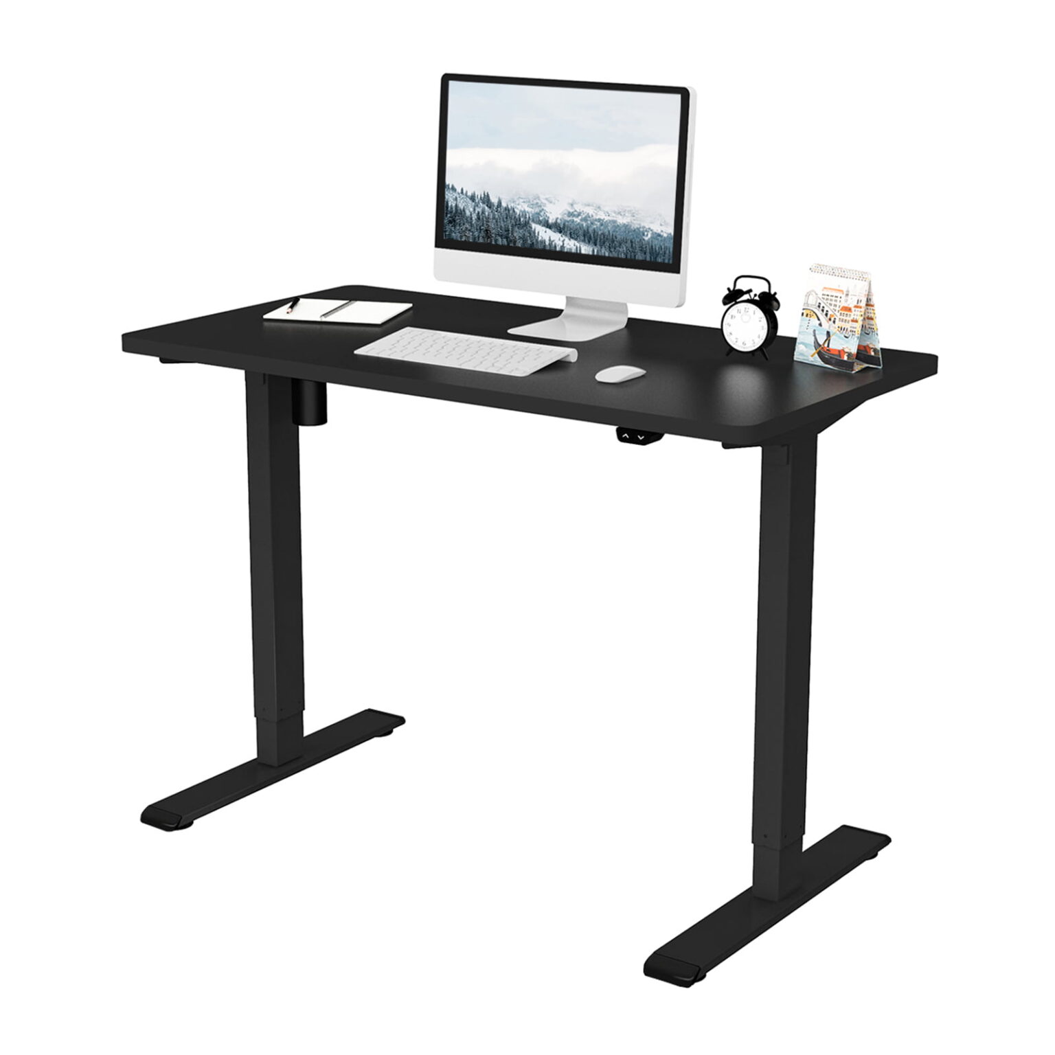 FLEXISPOT 42" x 24" Home Office Electric Height Adjustable Standing ...