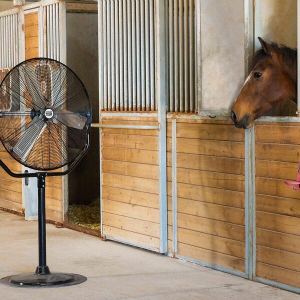 Maxx Air Extreme Power Industrial Pedestal Fan | Heavy Duty 30" Stand ...