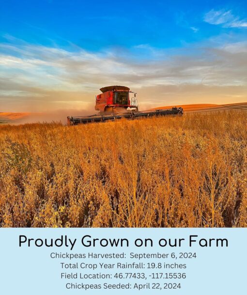 Mader Family Farmed Chickpeas (Garbanzo Beans): 18 LBS, Palouse Brand ...
