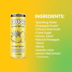 FRUGA Pineapple Prebiotic Sparkling Fruit Soda, Healthy Soda Drink with ...