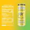 FRUGA Pineapple Prebiotic Sparkling Fruit Soda, Healthy Soda Drink with ...