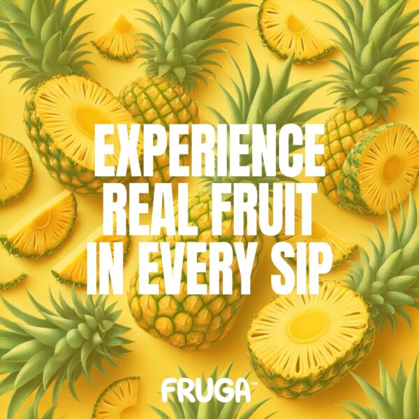 FRUGA Pineapple Prebiotic Sparkling Fruit Soda, Healthy Soda Drink with ...