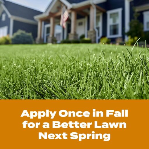 Scotts Turf Builder WinterGuard Fall Weed & Feed3, Weed Killer Plus ...