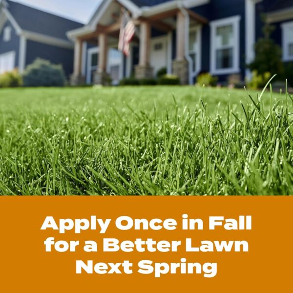 Scotts Turf Builder WinterGuard Fall Weed & Feed3, Weed Killer Plus ...