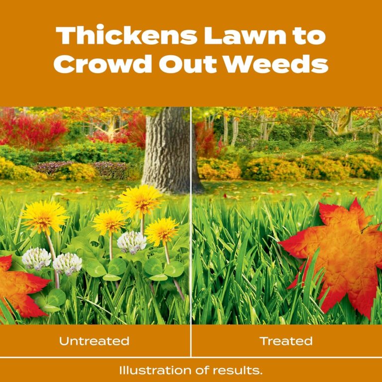 Scotts Turf Builder WinterGuard Fall Weed & Feed3, Weed Killer Plus ...