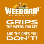 Scotts Turf Builder WinterGuard Fall Weed & Feed3, Weed Killer Plus ...
