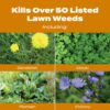 Scotts Turf Builder WinterGuard Fall Weed & Feed3, Weed Killer Plus ...