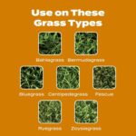 Scotts Turf Builder WinterGuard Fall Weed & Feed3, Weed Killer Plus ...