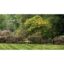 Vigoro 860350 Empire/Westbrook 28 in. Black Steel Decorative Garden ...