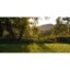 Vigoro 860350 Empire/Westbrook 28 in. Black Steel Decorative Garden ...